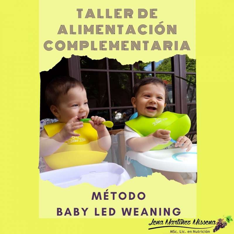 Taller BLW. Pagá seguro con Pagopar - Pagopar.com